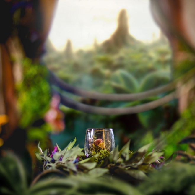 Avora in London: An Immersive Experience with Cocktails