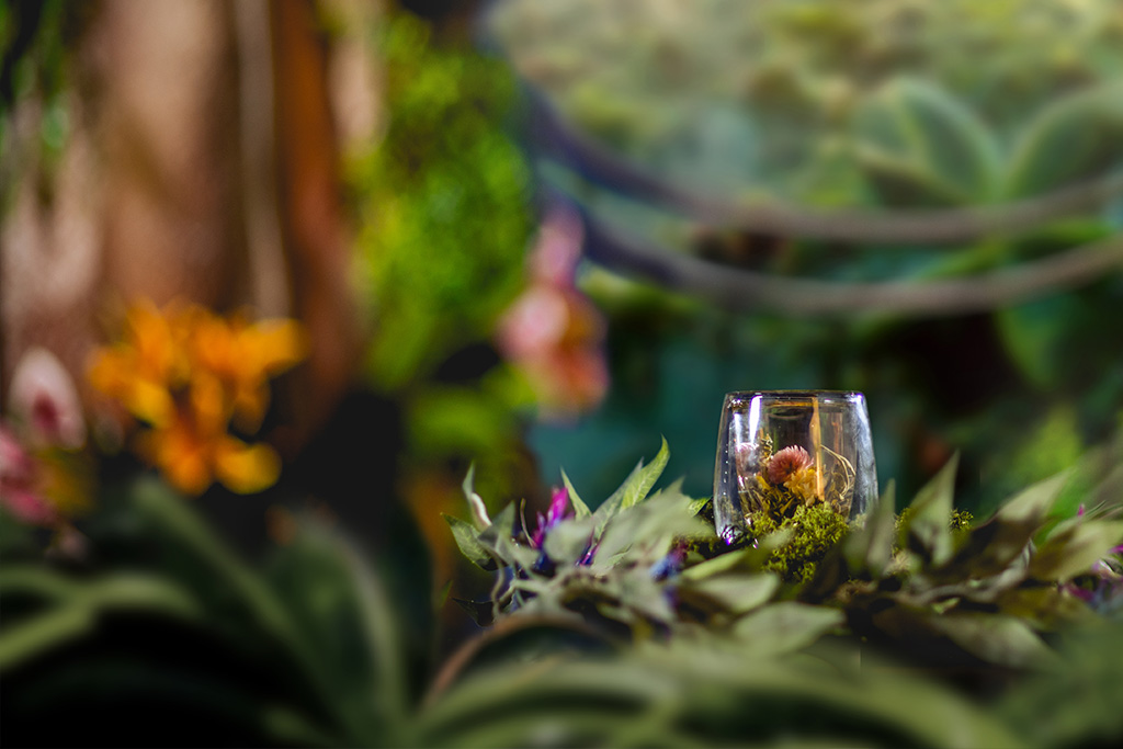 Avora in London: An Immersive Experience with Cocktails