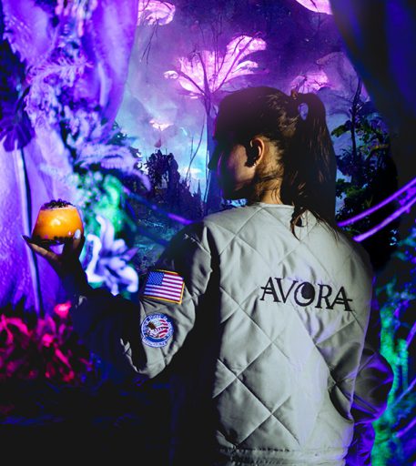 Avora in London: An Immersive Experience with Cocktails