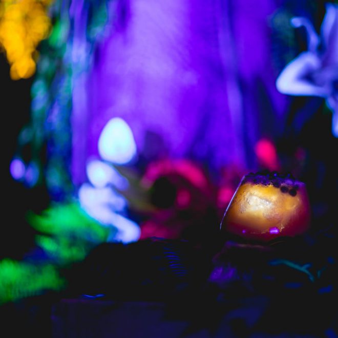 Avora in London: An Immersive Experience with Cocktails